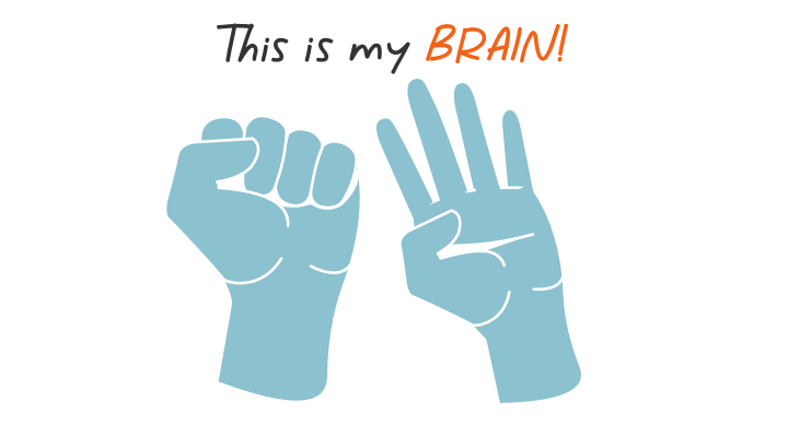 Hand Model of the Brain – Mindful Practices